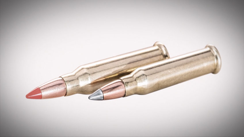 Video—ARTV Feature: Winchester Rimfire Ammunition | An Official Journal ...