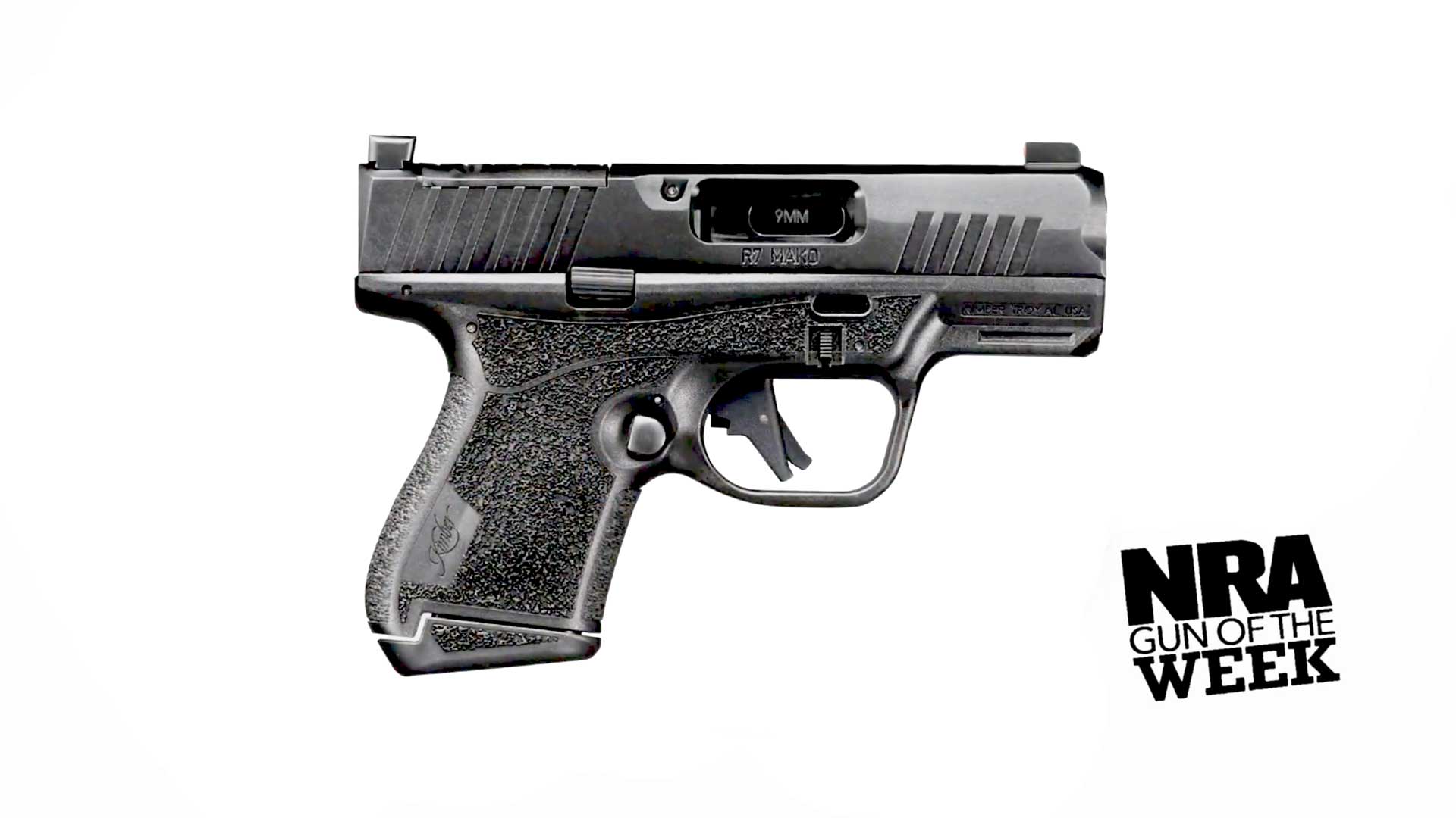 Remington Model 700 Ultimate Muzzleloader | An Official Journal Of The NRA