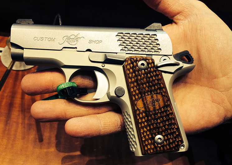 Kimber Micro Raptor Stainless .380 ACP Pistol | An Official Journal Of ...