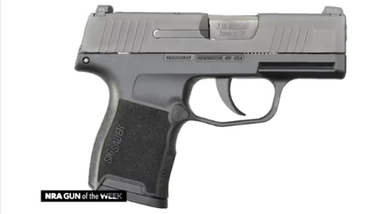 NRA Gun of the Week: SIG Sauer P365 Pistol | An Official Journal Of The NRA